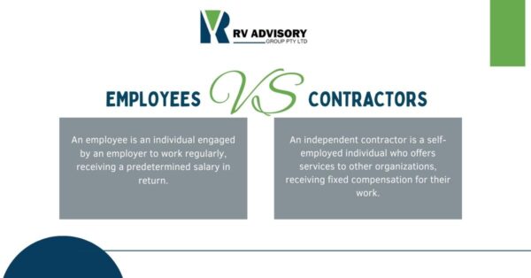 Employee vs Contractor: Unveiling Key Differences